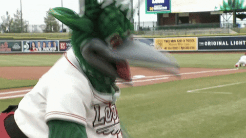 Great Lakes Loons GIF - Find & Share on GIPHY