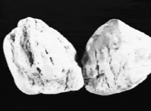 Return GIF - Find & Share on GIPHY