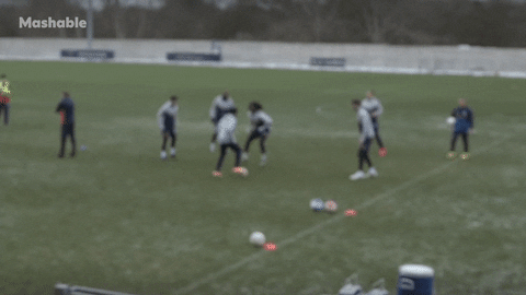 Ted Lasso GIF by Mashable - Find & Share on GIPHY