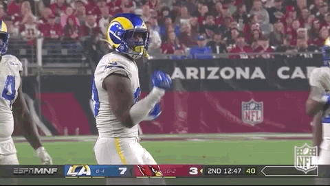 Los Angeles Rams Football GIF by NFL - Find & Share on GIPHY