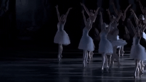 New York City Ballet GIF - Find & Share on GIPHY