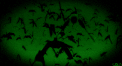 Halloween Bats GIFs - Find & Share on GIPHY