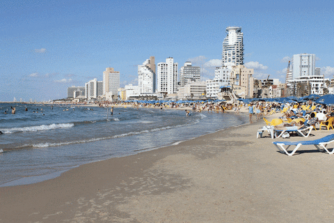 Beach GIF - Find & Share on GIPHY