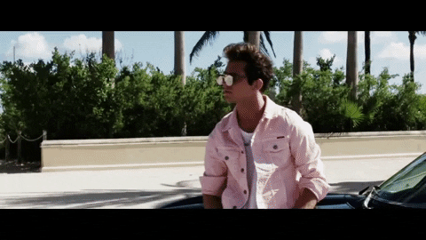 Beach Miami GIF by Sony Music Argentina - Find & Share on GIPHY