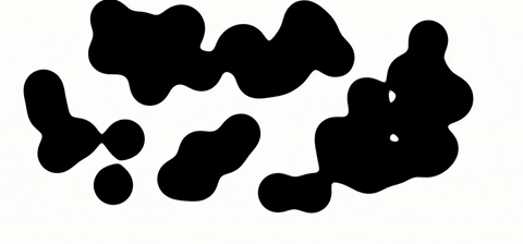 GitHub - MartinsJP/ER: Efeito Rorschach