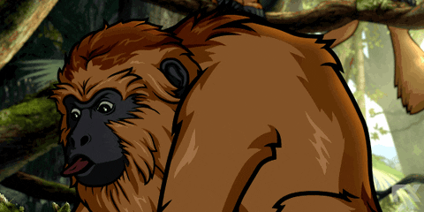 Howler Monkey GIFs - Get the best GIF on GIPHY