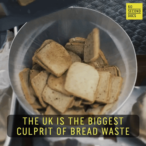 Bread Waste GIF by 60 Second Docs - Find & Share on GIPHY