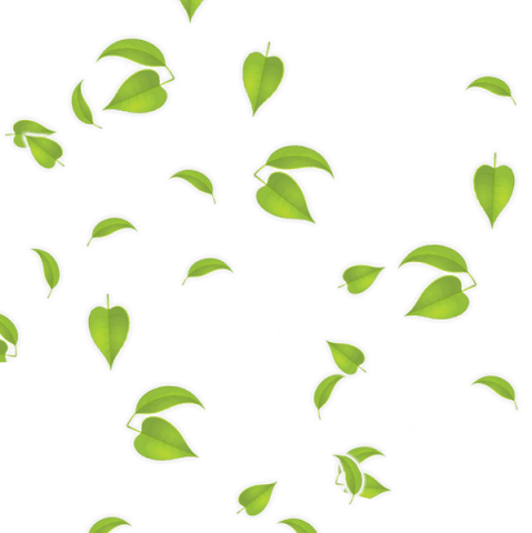Leaf GIF - Find & Share on GIPHY