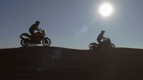 Ride GIF by Harley-Davidson - Find & Share on GIPHY