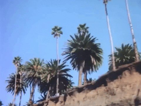 I Love La Los Angeles GIF by Randy Newman - Find & Share on GIPHY