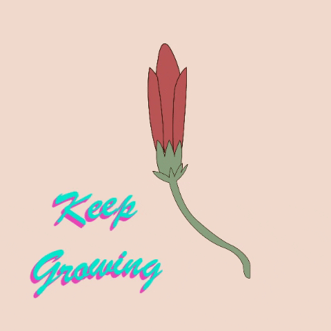 Flower Grow GIF - Find & Share on GIPHY