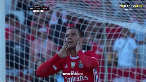 Sl Benfica Slbgifs GIF by Sport Lisboa e Benfica - Find & Share on GIPHY