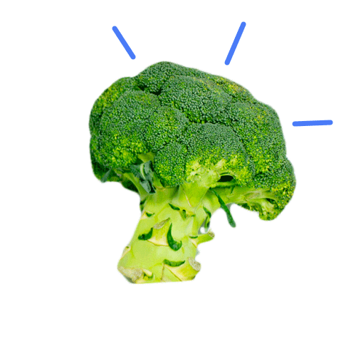 Geev Sticker for iOS & Android | GIPHY