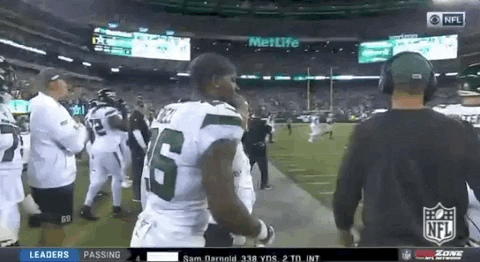 Philadelphia Eagles Football GIF by NFL - Find & Share on GIPHY