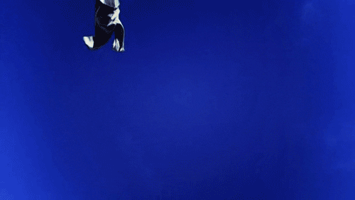 Sign On The Dotted Line GIFs - Get the best GIF on GIPHY