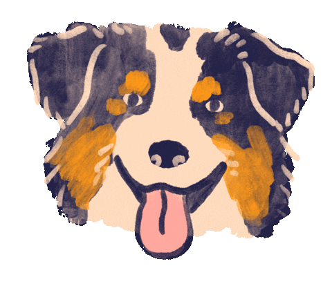 Happy Australian Shepherd Sticker by Kat Schneider for iOS & Android ...
