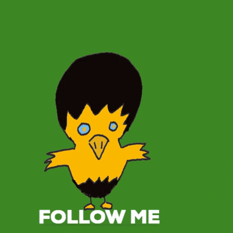 Follow Me Abonne Toi GIF - Find & Share on GIPHY