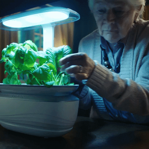 Like A Boss Cooking GIF by Bosch - Find & Share on GIPHY
