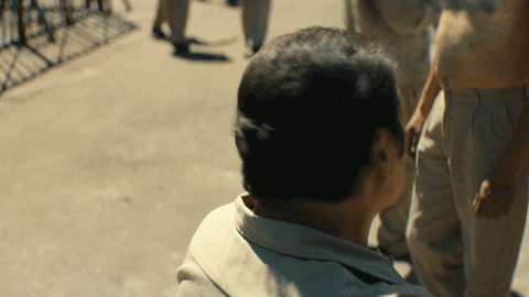 Pablo Escobar Mexico GIF by NETFLIX - Find & Share on GIPHY
