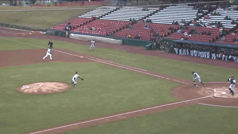 Pitcher Gocougs GIF by Kane County Cougars - Find & Share on GIPHY
