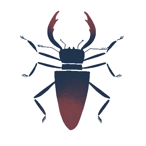 Insect Beetle Sticker for iOS & Android | GIPHY