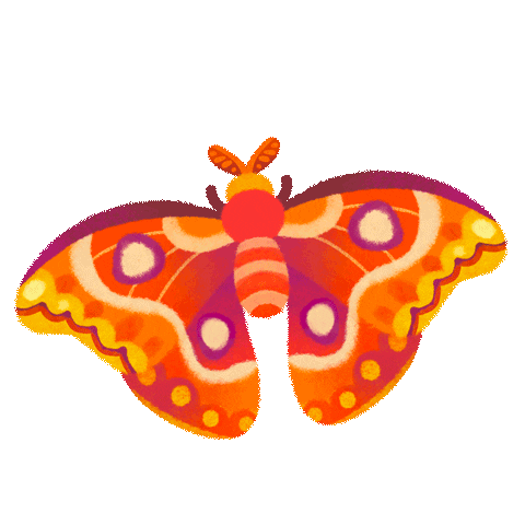 Flapping Atlas Moth Sticker by pikaole for iOS & Android | GIPHY