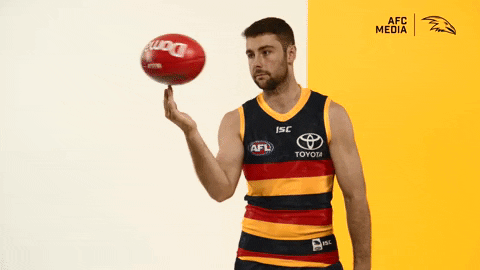 Rory Atkins Afl GIF by Adelaide Crows - Find & Share on GIPHY