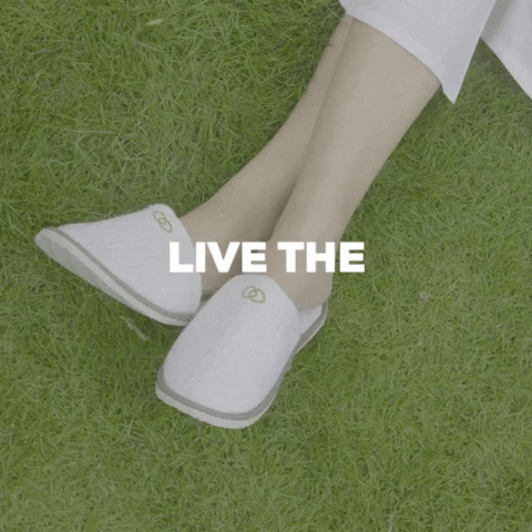 Sofitel Abu Dhabi Corniche GIF - Find & Share on GIPHY