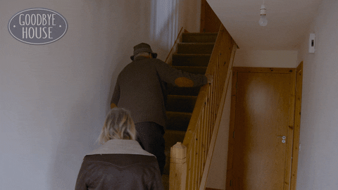 Rte GIF by Stellify Media - Find & Share on GIPHY