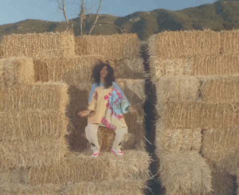 Hay Bale GIF by SZA - Find & Share on GIPHY