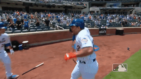 Celebrate Ny Mets GIF by New York Mets - Find & Share on GIPHY