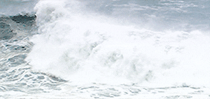 Rising Tides GIFs - Find & Share on GIPHY