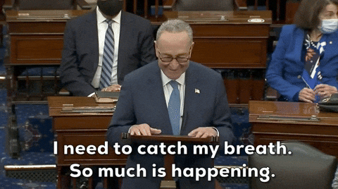 Chuck Schumer GIF by GIPHY News - Find & Share on GIPHY