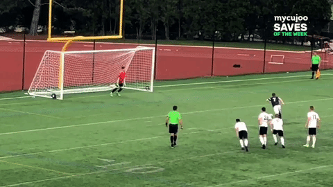 Football Goalkeeper GIF by mycujoo - Find & Share on GIPHY