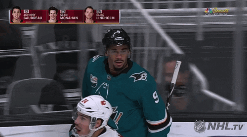 Happy Ice Hockey GIF by NHL - Find & Share on GIPHY