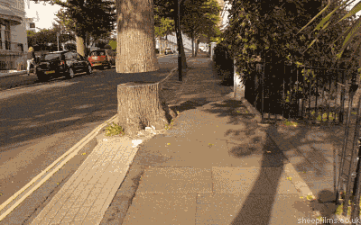 Tree Stump GIFs - Find & Share on GIPHY