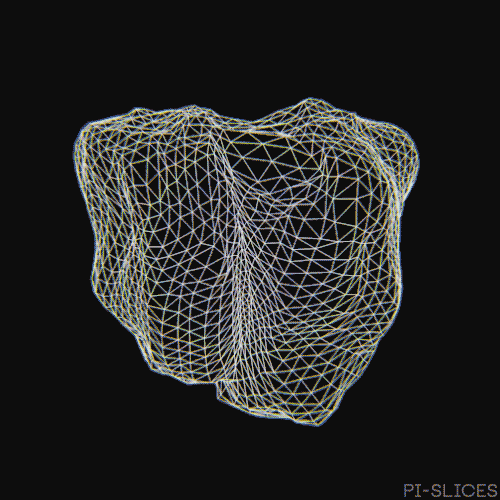 Wireframe GIF - Find & Share on GIPHY