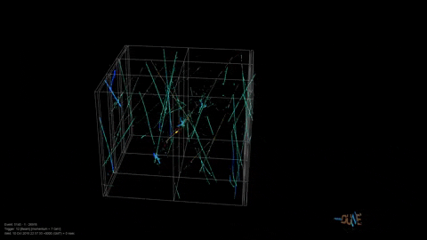 Particle Physics GIF by Fermilab - Find & Share on GIPHY