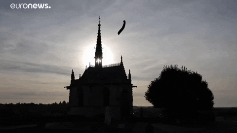 Leonardo Da Vinci Signature GIF by euronews - Find & Share on GIPHY