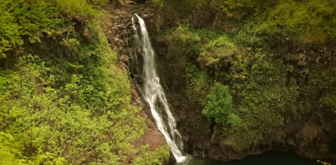 Hawaii GIF - Find & Share on GIPHY