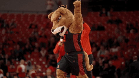 Sasha Go Coogs GIF by University of Houston - Find & Share on GIPHY