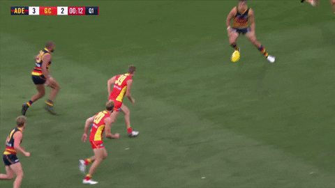 Adelaide Crows GIF - Find & Share on GIPHY