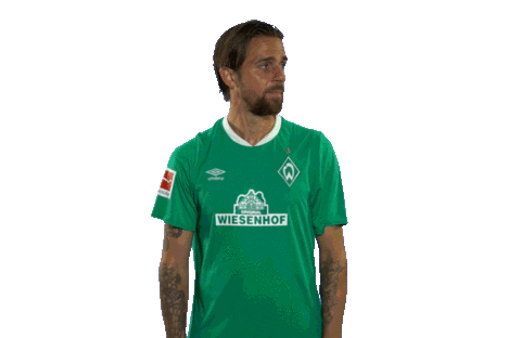 Come On Football Sticker by SV Werder Bremen for iOS & Android | GIPHY