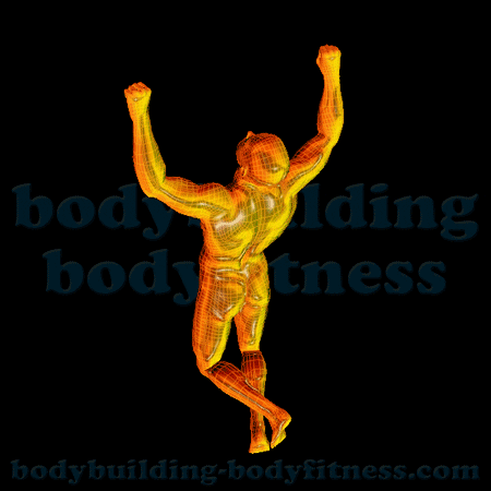 Muscles GIFs - Find & Share on GIPHY