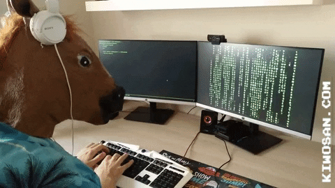 Programming Horse Mask GIF by Kiwosan - Find & Share on GIPHY