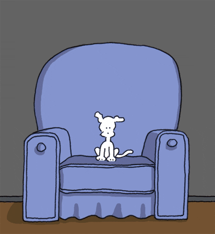 Chippy the Dog GIFs - Find & Share on GIPHY