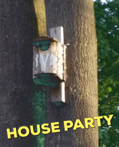 Celebrate House Party GIF by Caroline - The Happy Sensitive - Find ...