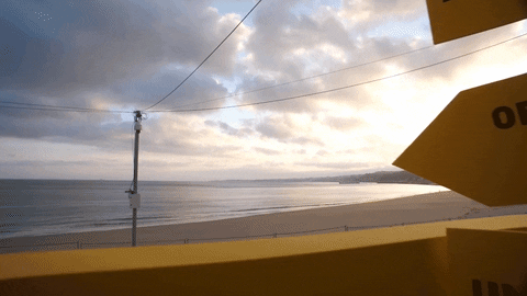 Festival Portugal GIF by Licor Beirão - Find & Share on GIPHY