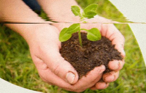 Instituto Agropolos GIF - Find & Share on GIPHY