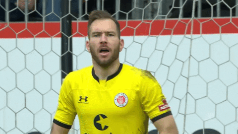 Scream Robin GIF by FC St. Pauli - Find & Share on GIPHY